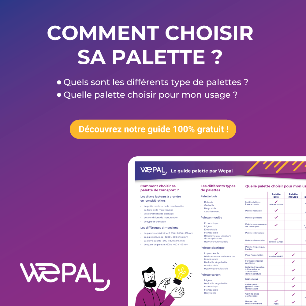 Guide : Comment choisir sa palette
